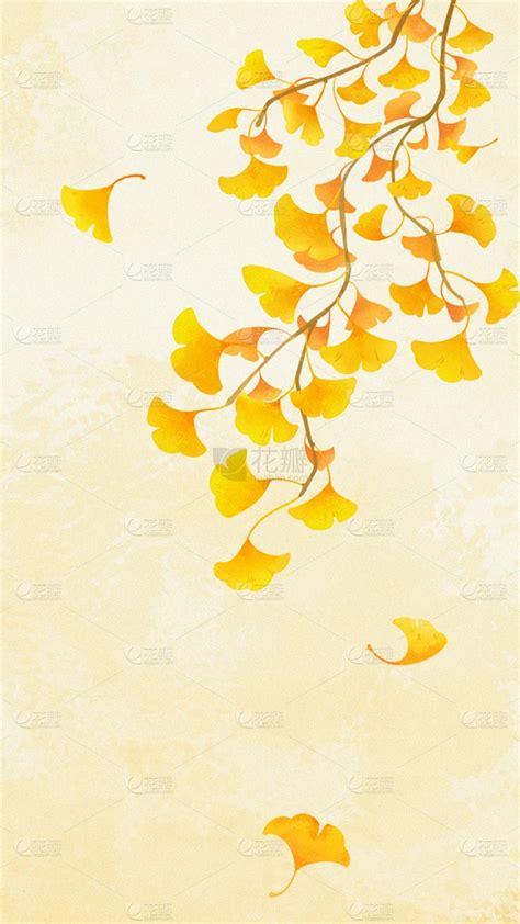 立秋肌理弥散渐变水彩银杏叶背景素材 花瓣网