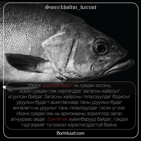 Сонирхолтой мэдээллүүд Уруулын будаг бас эрчүүд маш их иддэг хэдэн ч уруулын будаг иддэг нь