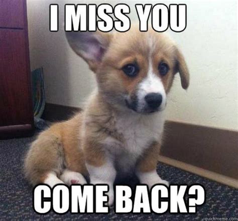 100 Of The Best I Miss You Memes To Send To Your Bae Inspirationfeed I Miss You Meme