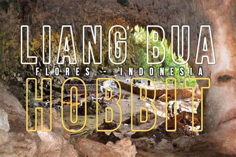 Liang Bua Hobbit Menjelajah Jejak Situs Homo Floresiensis