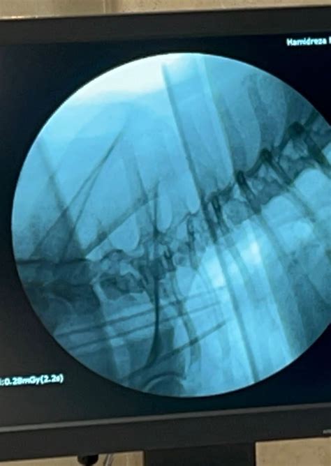 برای اولین بار در کشور، دامپزشکان بیمارستان دکتر حمیدرضا فتاحیان موفق