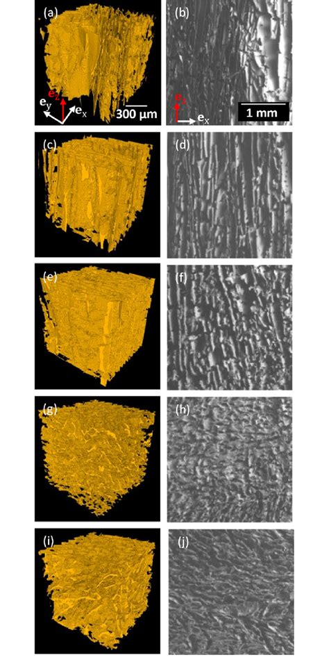3d X Ray Nanotomography Left And 2d Sem Micrographs Right Download Scientific Diagram