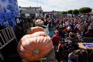 California Engineer Wins Pumpkin Contest With Massive 2346 Pound Gourd