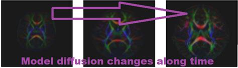 Projectstractlongitudinaldti Namic Wiki