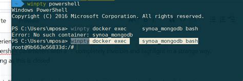 some windows 10 powershell text is invisible · issue 39 · rprichard