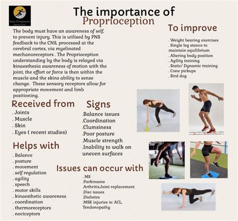 Susan Camille On Linkedin Why Is Proprioception Work So Important Not Only Does It Help To