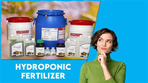 Hydroponic Fertilizer Growing Best Plants