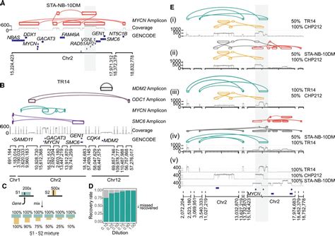 Reconstructing Extrachromosomal Dna Structural Heterogeneity From Long Read Sequencing Data