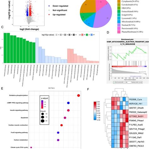 Proteomics Analysis Between Lr And Mr Group A Volcano Plot Of The