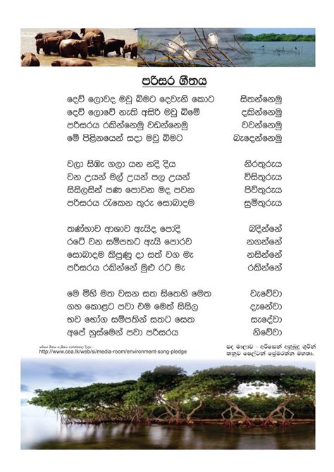 පරිසර මාසයේ වැදගත් තොරතුරු කිහිපයක් රන්කැකුලු සමාගම