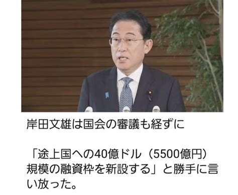 きんべ On Twitter Rt Kitsunesub2sub 日本国民はさらに苦しみます 苦しむ日本国民より他国を支援します