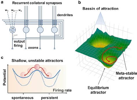 1 A Schematic Representation Of A Recurrently Connected Network Of Download Scientific