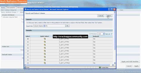 Create Custom Item Textarea Attribute Oracle Advanced Product Catalog