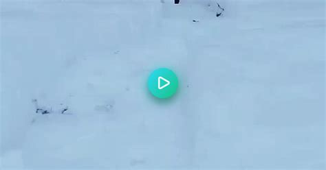 c h o n k e r album on imgur