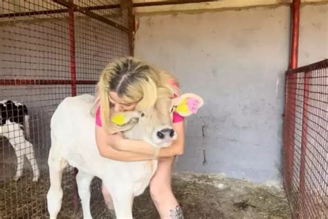 Spikerliği Bırakıp çiftlik Kurdu 7 Danayla Başladı 100 Büyük Baş
