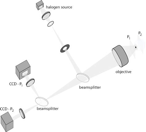 Schematic Representation Of The Optical Setup Of The Curvature Sensor Download Scientific