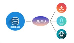 Database Practical MS Access ClassNotes Ng