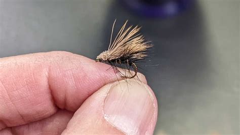 11 Best Caddisfly Patterns For The Fly Fisher Nymphs Dries With An