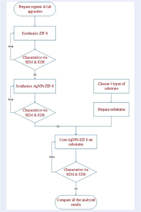 The Process Of The Experiment Download Scientific Diagram