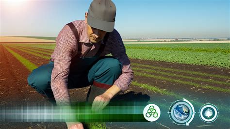 Efficient Irrigation Techniques For Water Conservation