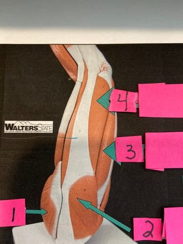 Test Lab Flashcards Quizlet