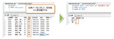 初級編⑬なんとなく書いていたSQLのSELECT文を根本から理解する22 SQL Server 虎の巻