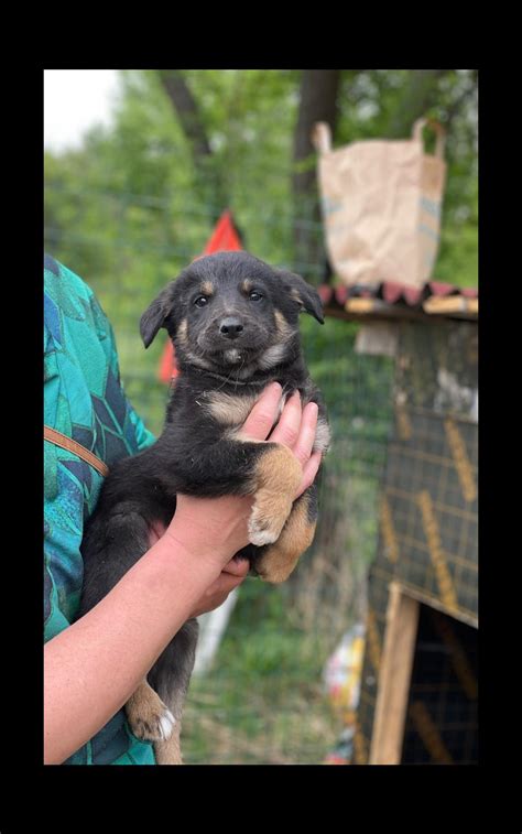 Мама Нинджа Днес ми беше сюрреалистичен ден Мислех си