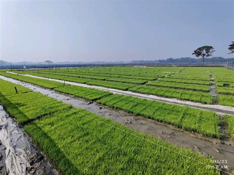 Akm Raisul Alam Khan On Linkedin Dream Starts Here Better Technology To Remove The