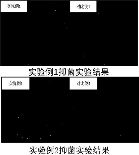 Preparation Method Of Antibacterial Carboxymethyl Chitosan And