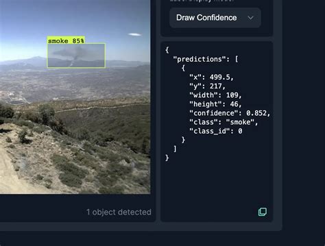 Launch Roboflow Inference Server Cli