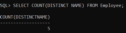 COUNT Function In Oracle With Examples Dot Net Tutorials