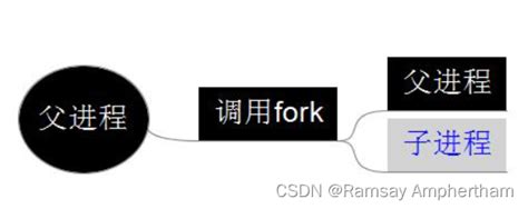 【c语言】理解 linux父进程与子进程 c语言 父子进程 csdn博客