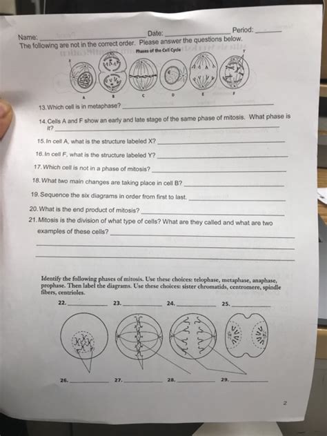 Which Structure Is Labeled X In The Diagram Below Wiring Site Resource