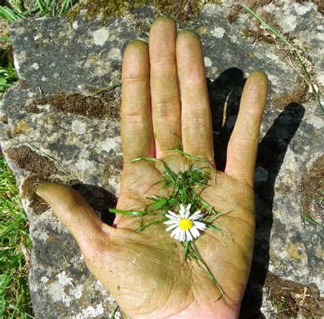 Isa Python Veneux Les Sablons Idf France Startup