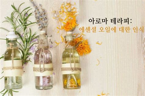 향기 테라피 기분전환을 위한 최고의 에센셜 오일 가이드