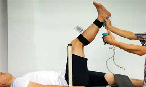 Measurement Of Hamstring Flexibility Download Scientific Diagram