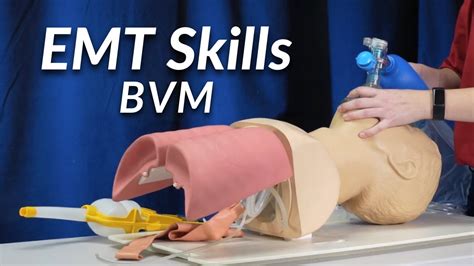 Bvm Ventilation Of An Apneic Adult Patient Emt Skill Youtube