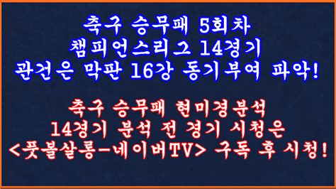 축구 토토 승무패 5회차 Ucl 챔피언스리그 현미경분석 최종픽 네이버 Tv