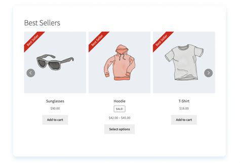Best Woocommerce Plugins To Increase Sales Goaffpro