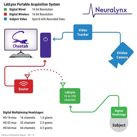 data acquisition neuralynx