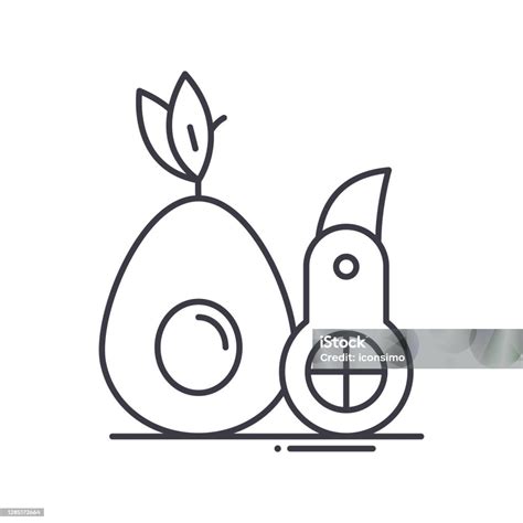 아보카도 슬라이서 아이콘 선형 절연 일러스트레이션 얇은 선 벡터 웹 디자인 기호 흰색 배경에 편집 가능한 스트로크와 개요 개념 기호 아보카도에 대한 스톡 벡터 아트 및 기타
