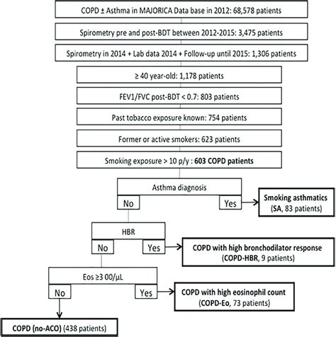 Copd Fev1 Chart A Visual Reference Of Charts Chart Master