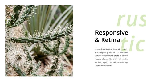 Rustic Minimal Powerpoint Template Presentation Templates GraphicRiver Rustic Minimal Powerpoint Template Presentation Templates GraphicRiver