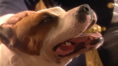 Pumb It Eporner Pumb It Eporner