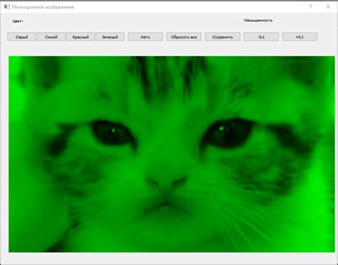 GitHub KStepanI1 Qt ImageViewer Учебная практика ЛЭТИ 2 курс