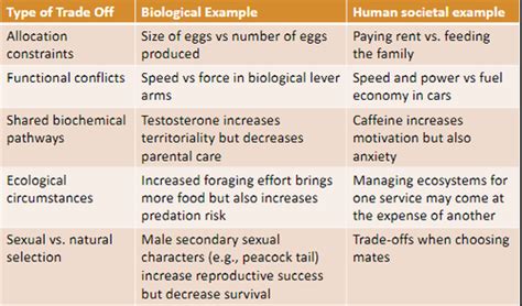 Evolutionary Constraints Flashcards Quizlet