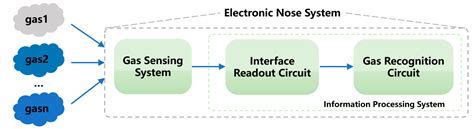 A Bio Inspired Spiking Neural Network With Few Shot Class Incremental Learning For Gas Recognition