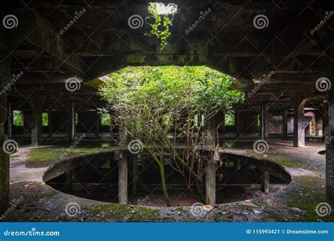 Tree In Factory Stock Image Image Of Industry Inside 115993421