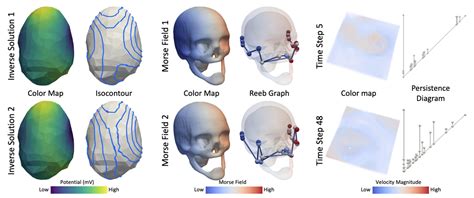 A Comparative Study Of The Perceptual Sensitivity Of Topological