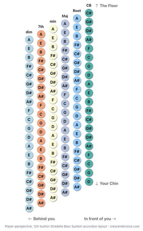 Player Perspective Stradella Bass System 120 Button Crescendo Voice